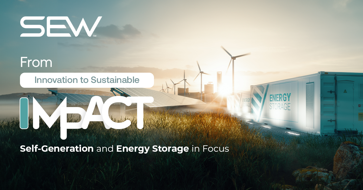 Exploring Self-Generation and Energy Storage